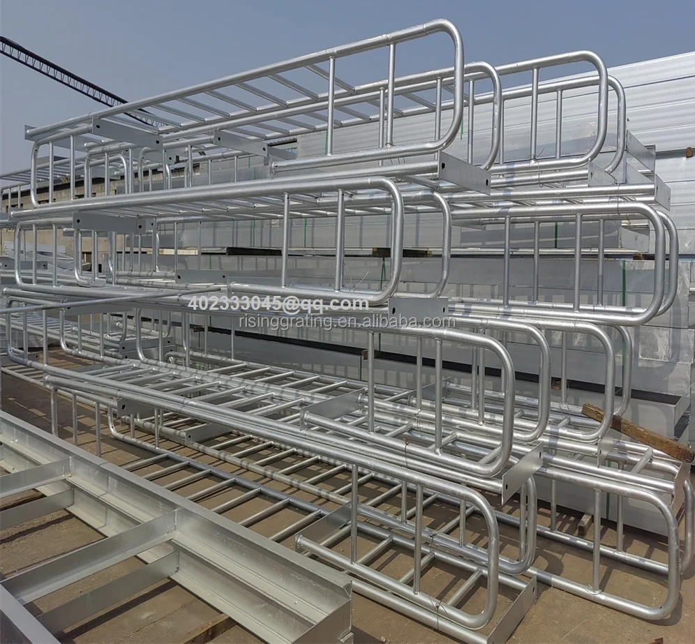 Safety Cage Ladder - Durable Steel and Aluminum Options