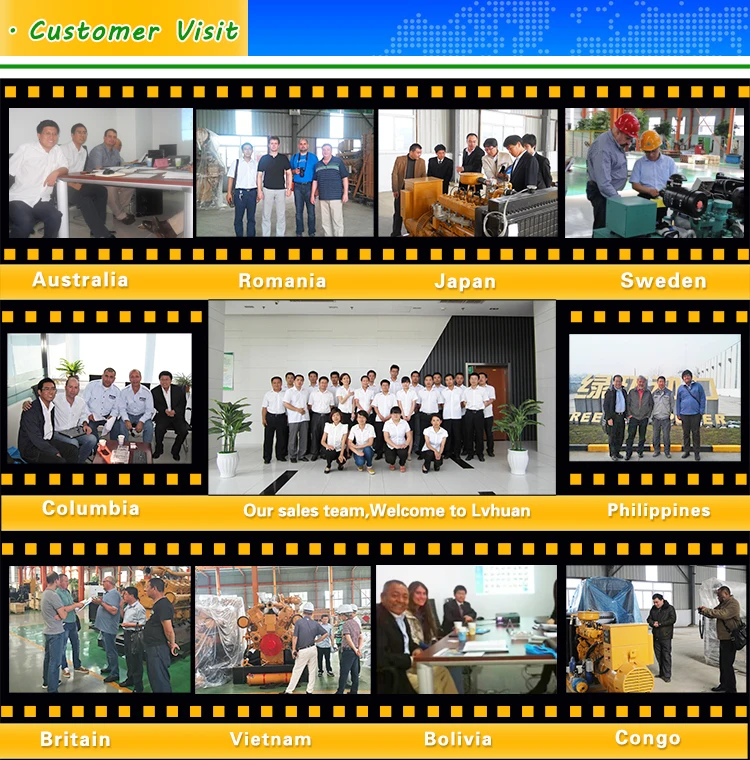 10kw-5mw CHP Cogeneration Diesel Generators by LVHUAN