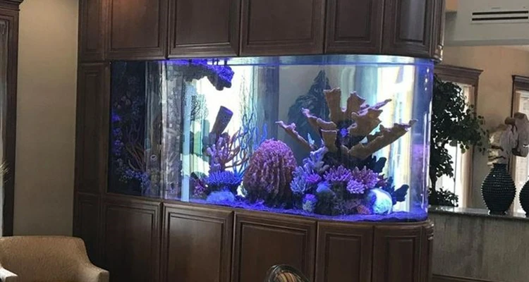 Professional Grade Fish Tank Panels - Custom Acrylic Aquarium Sheets ...