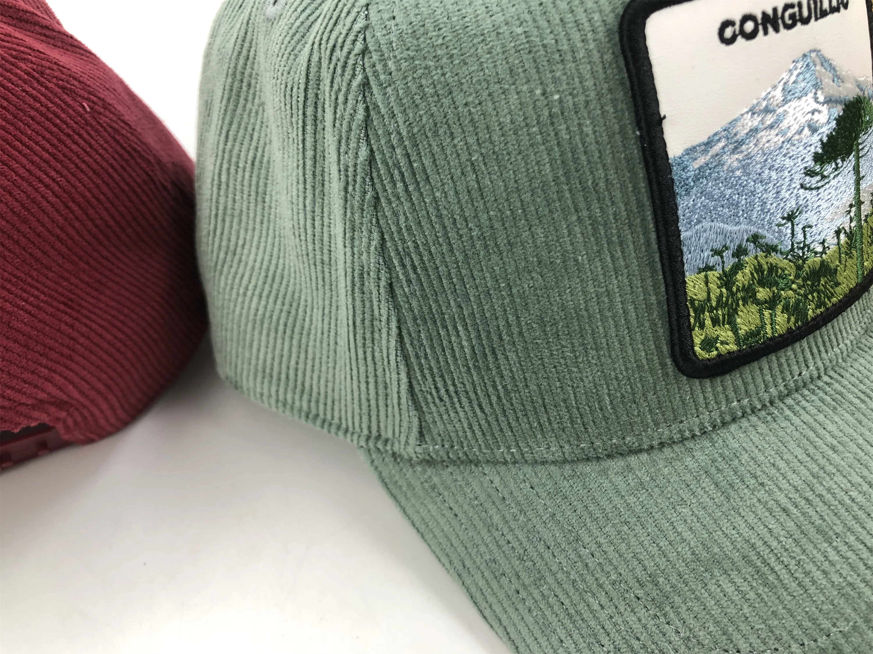 Custom Animal Cap Applique Curved Corduroy Dad Hat 5 Panel Vintage ...