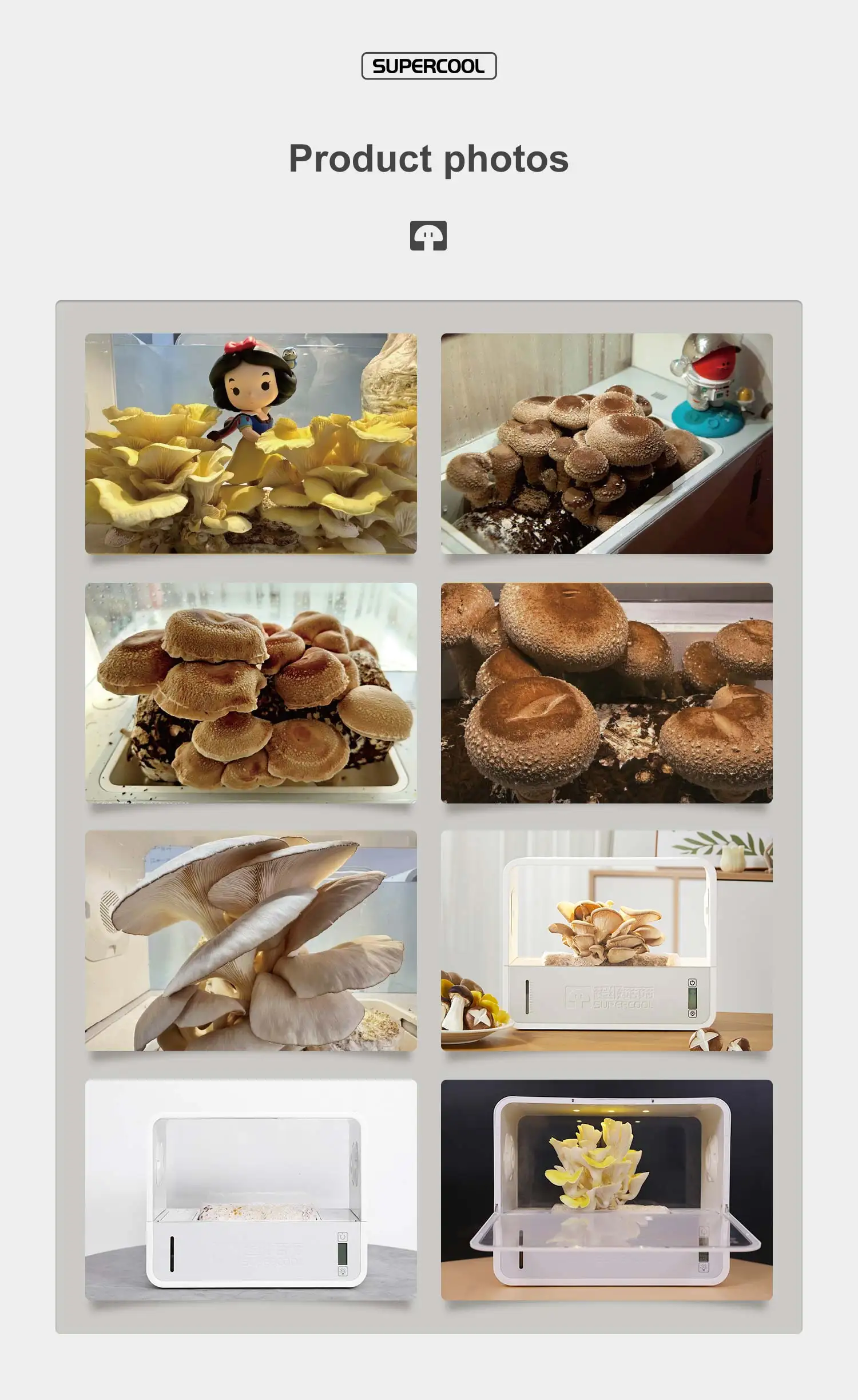 Mini Mushroom Greenhouse - Smart Indoor Growing Solution