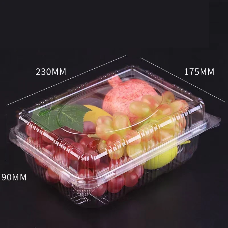 Disposable Clear Hinged Plastic Pet Container Lids Tray for Candy Cake ...