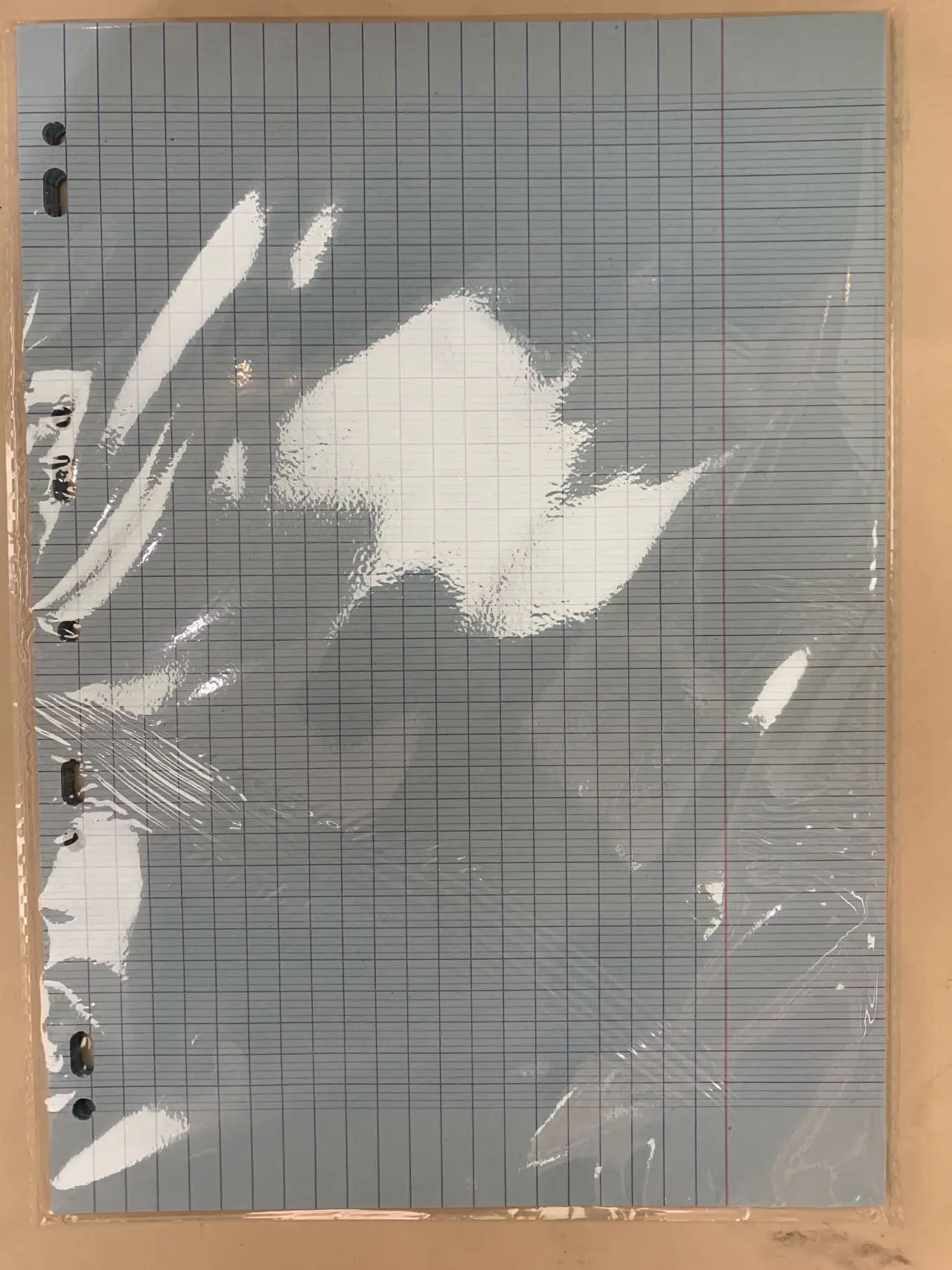 A4 Size Good Exercise Book French Lines Notebooks 48-200pages For 6 ...