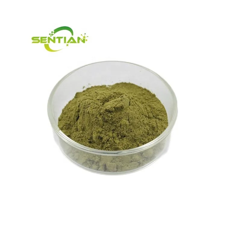 Red Algae Powder - Spirulina Extract for Health Supplements