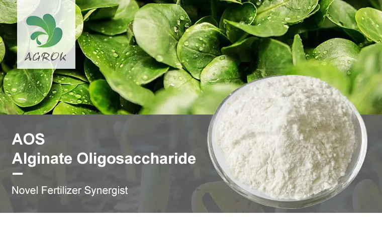 Alginate Oligosaccharide- 90% Powder Novel Fertilizer Synergist Essence ...