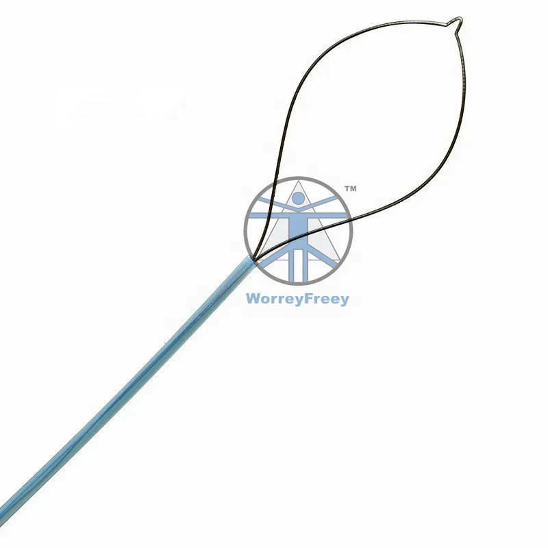Disposable Instrument Polypectomy Snare - Endoscopic Snare