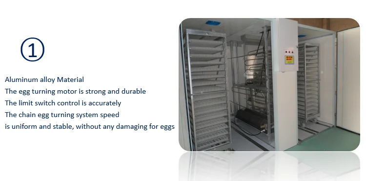 19200 Eggs Hatchery Setter Incubators For Poultry Farming / Solar ...