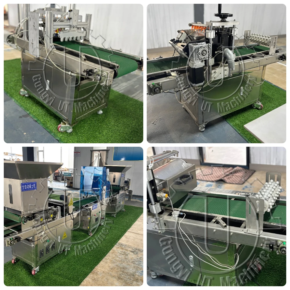 Seeders Transplanters - Efficient Vegetable Sowing Machines