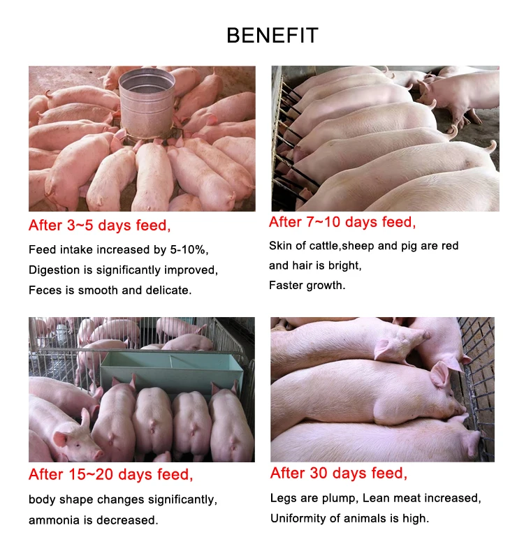 Swine Nutrition Growing Feed Grade Trace Elements Premix for Fattening ...