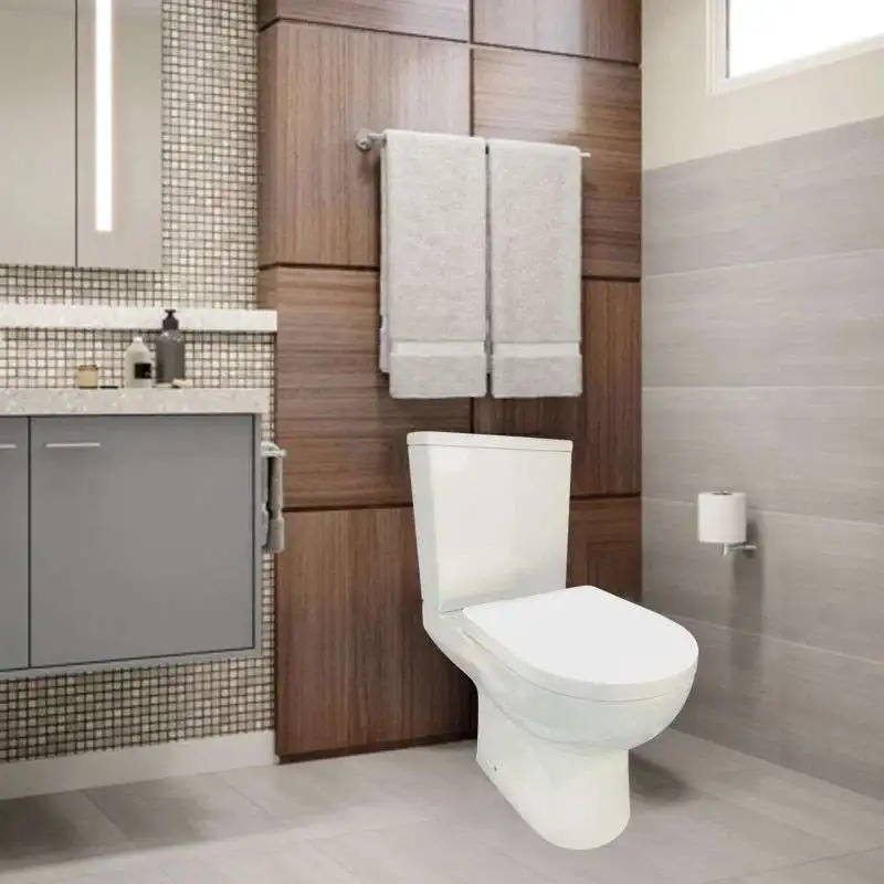 Custom Washroom Tualetas Inodoros Modernos Dual Flush Rimless Sanitary ...