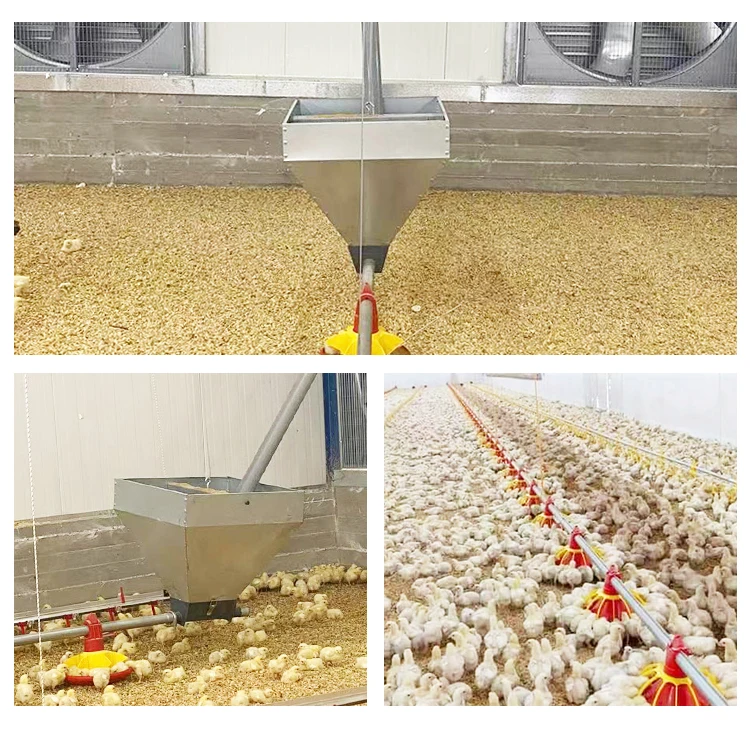 Agrieso Automatic Chicken Feeder Hopper - 80KG Capacity