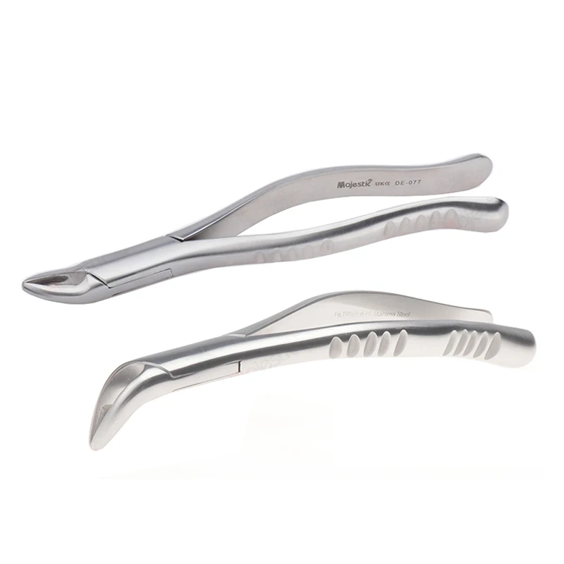 Stainless Steel Adult Extracting Forceps Tooth Extraction Forceps ...