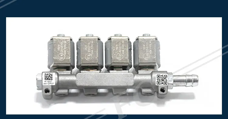 Cng Gas Injector Lpg Conversion Autogas Nozzle Ngv Injector Rail 2 Ohm ...