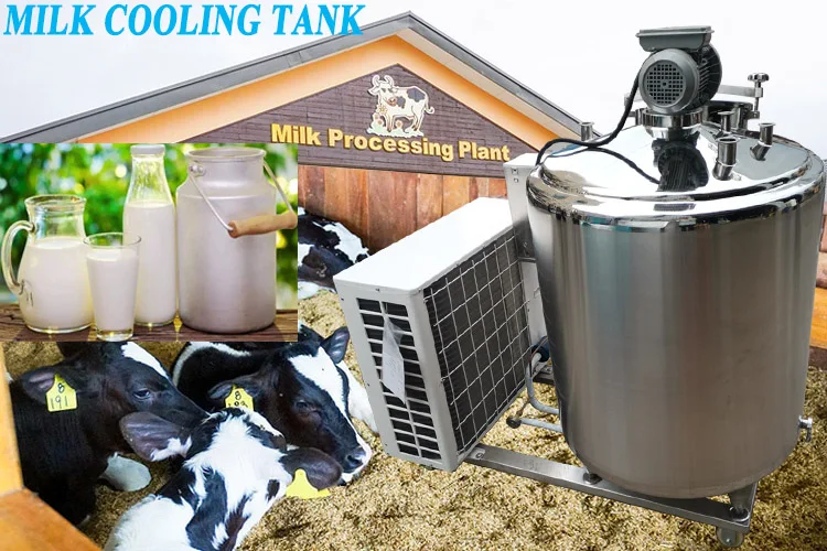 Milk Cooling Tank - Efficient Dairy Processing Solutions