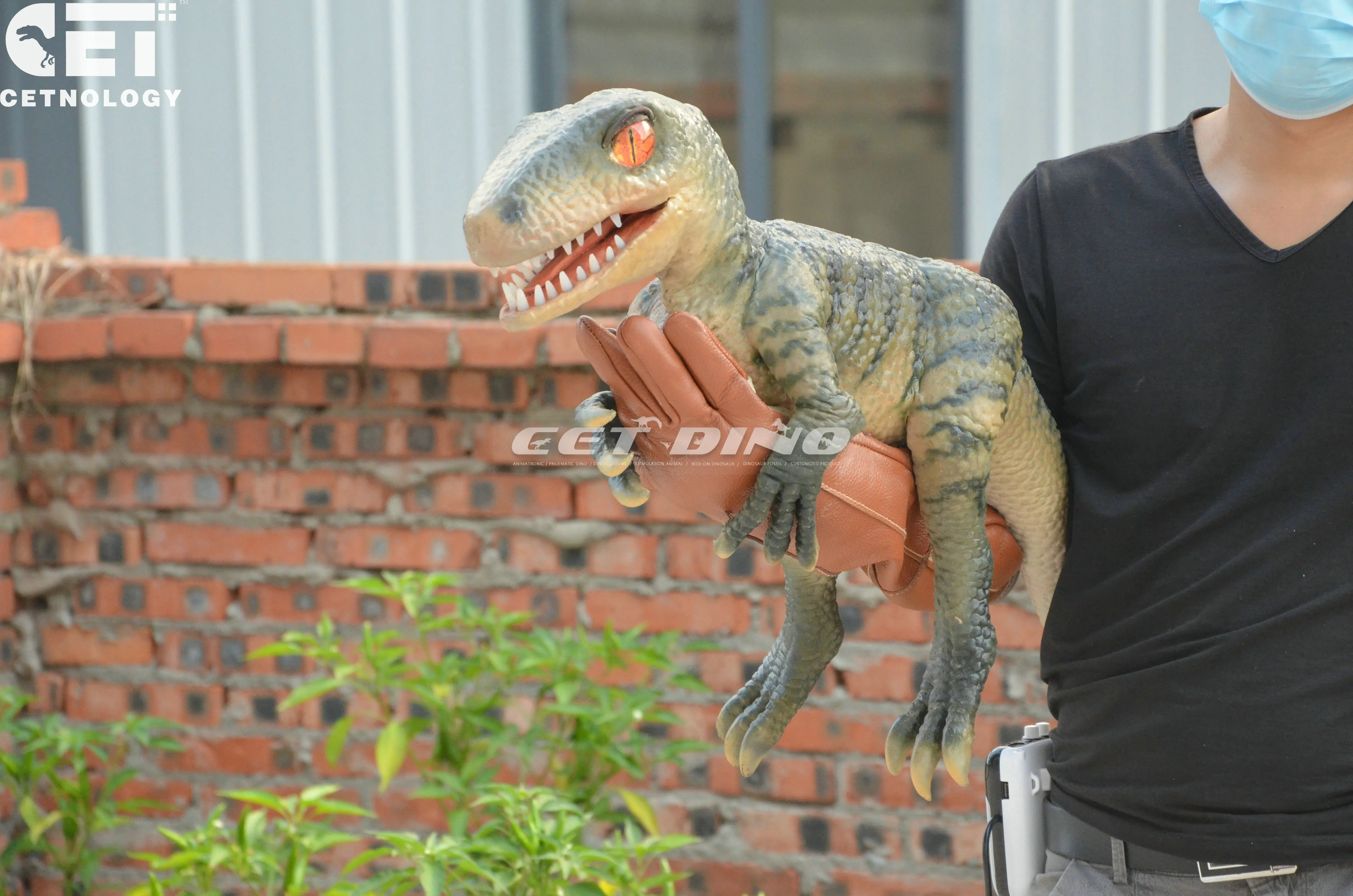 Dinosaur Hand Puppets 2022 Realistic Animatronic Dinosaur Baby Puppet ...