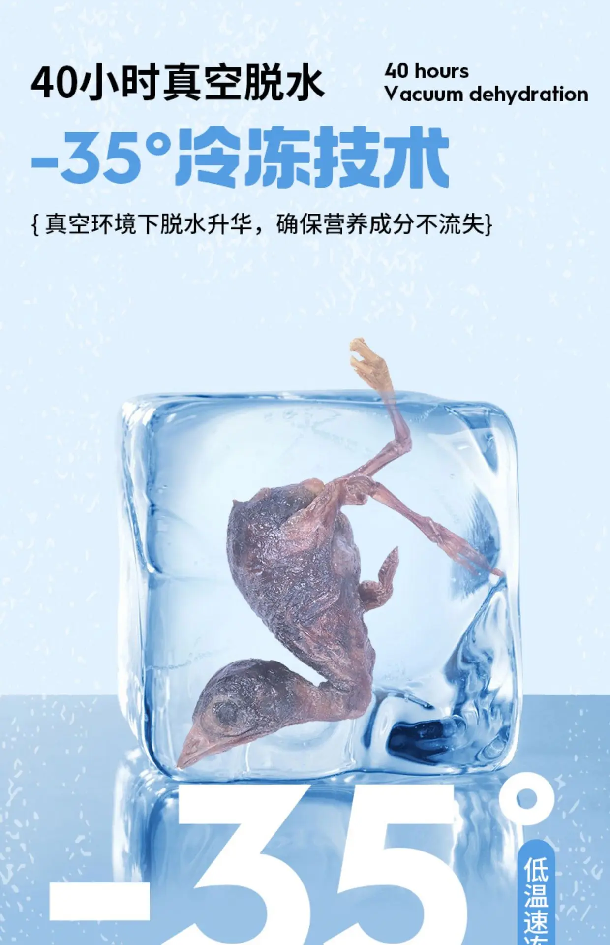 Freeze Dried Small Quail,Pure Meat,Low Fat,High Protein Reward Snacks ...