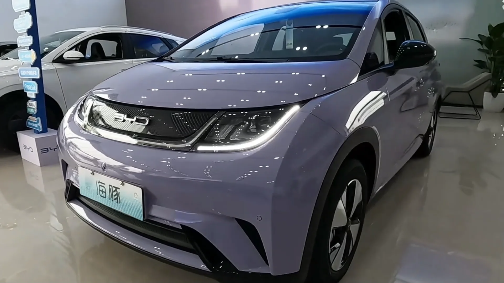 Ridever Byd Dolphin Rhd Mini Suv Electric Vehicle 302km 420km 401km ...