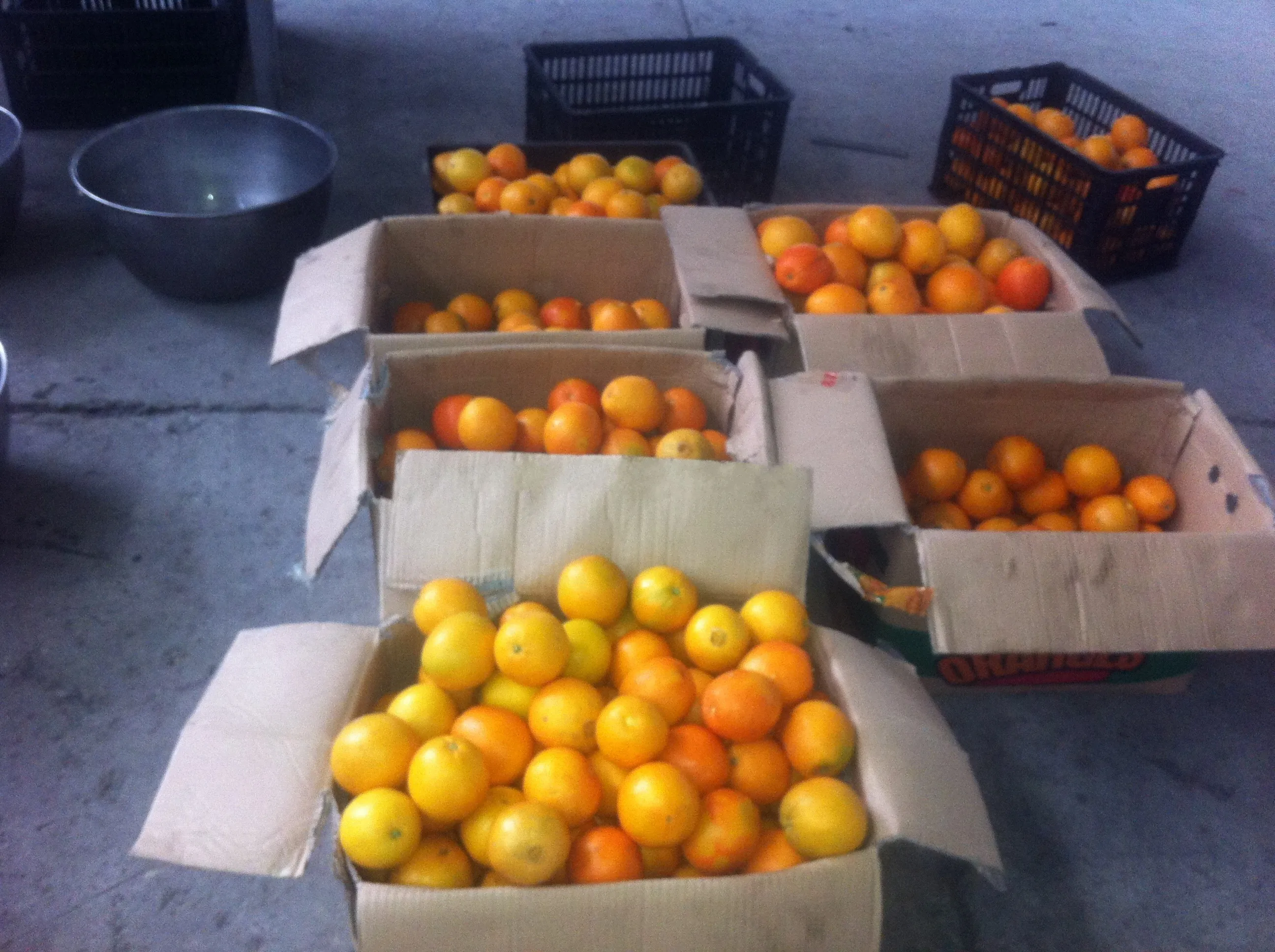 Juice Extractor Fruit Lemon Squeezing Machine Lime Orange Squeezer ...