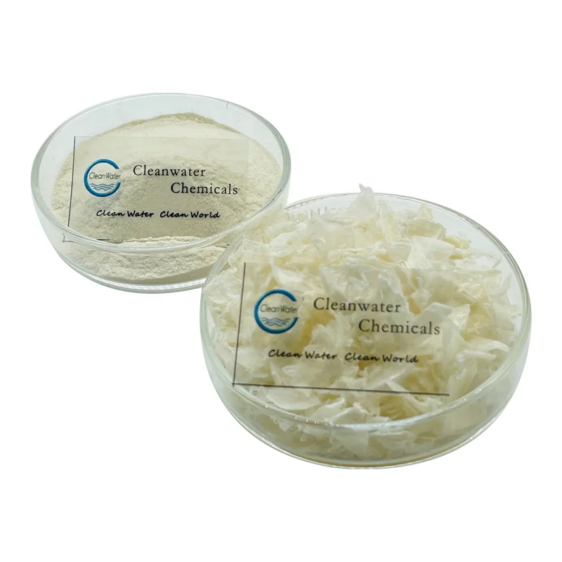 Chitosan Powder
