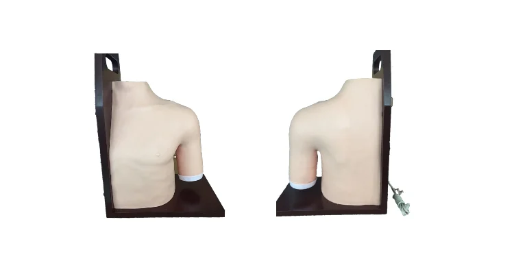 Bix-ck20133 Human Medical Shoulder Simulator Injection Training Model ...