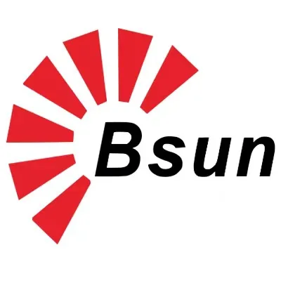 Company Overview - Dongguan Bsun Electronics Co., Ltd.