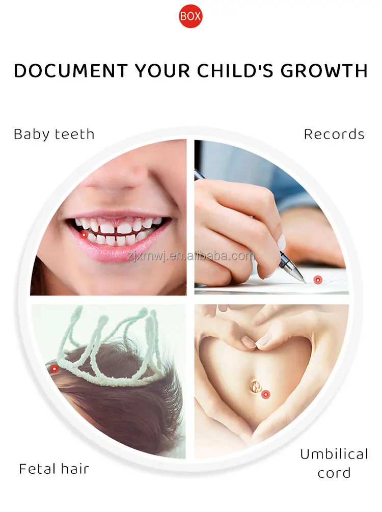 Wholesale Wooden Cute Kids Save Teeth Umbilical Cord Milk Teeth Storage ...