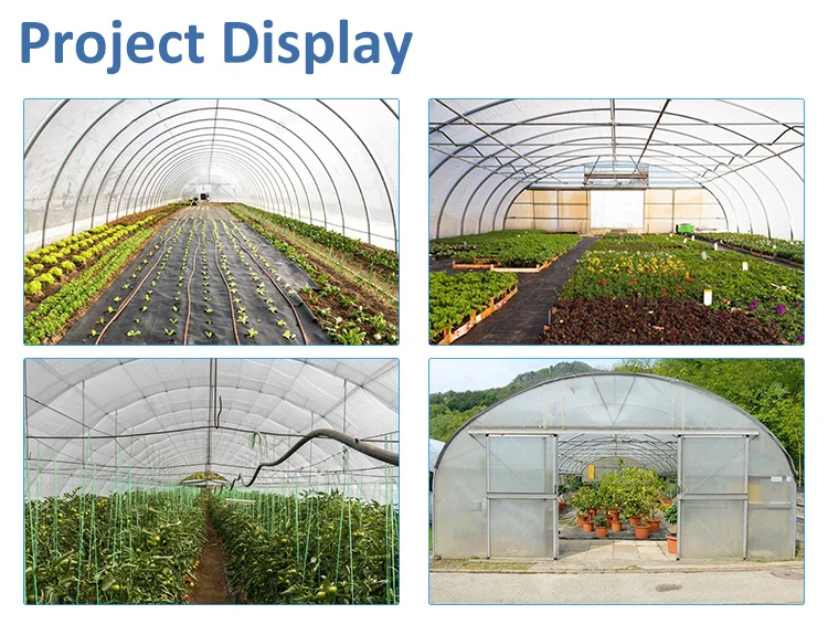 Tunnel Greenhouse - Single Span Agricultural Greenhouses