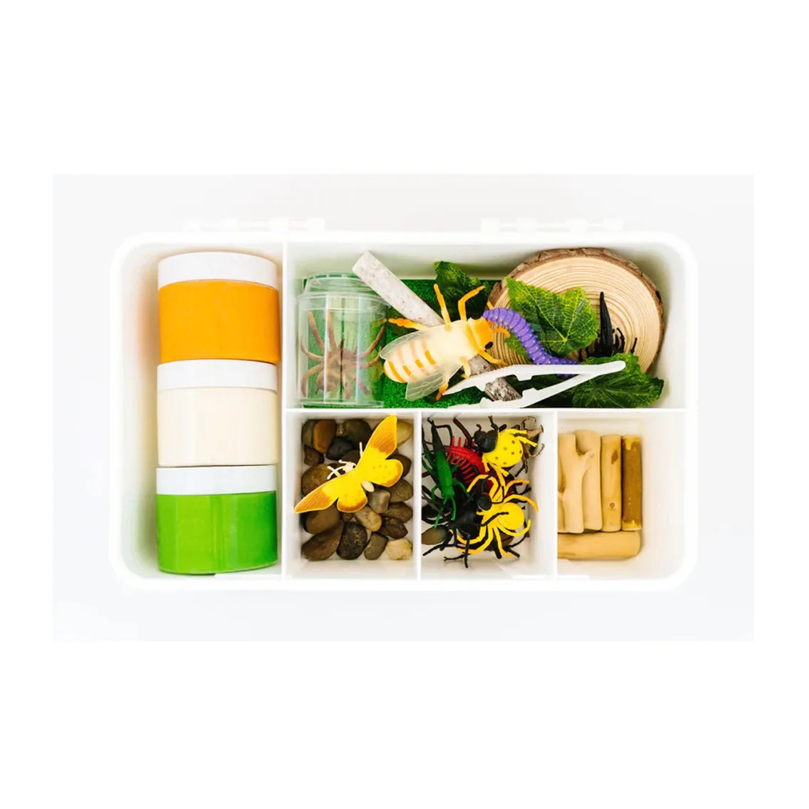 Educational Toys Air Dry Clay Insect Explorer Kit Theme Animal Sensory ...