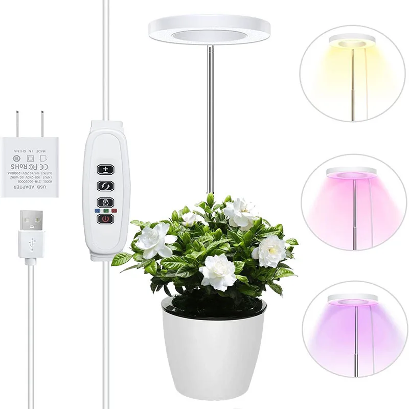 Full Spectrum Height Adjustable, Automatic Timer,Idea for Small Plant ...