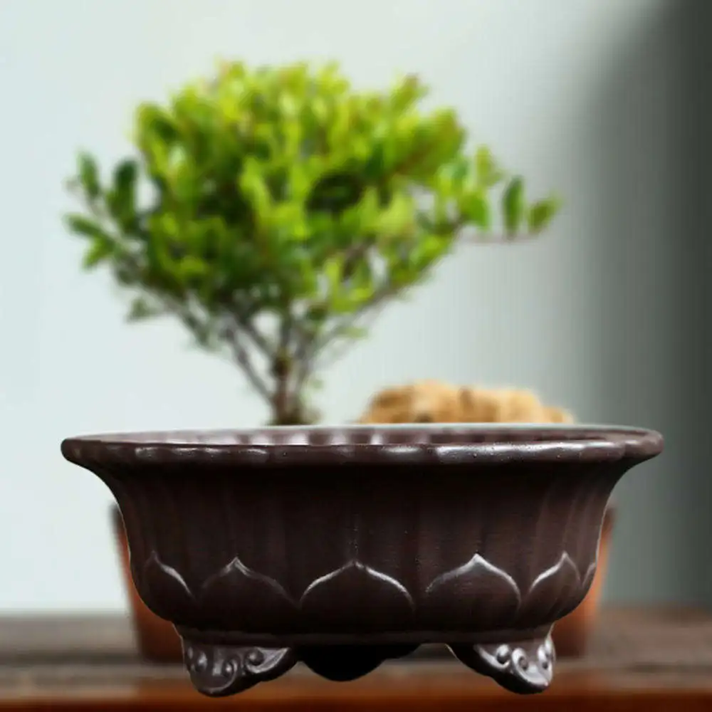 Creative New Traditional Ceramic Bonsai Pot - Chinese Yixing