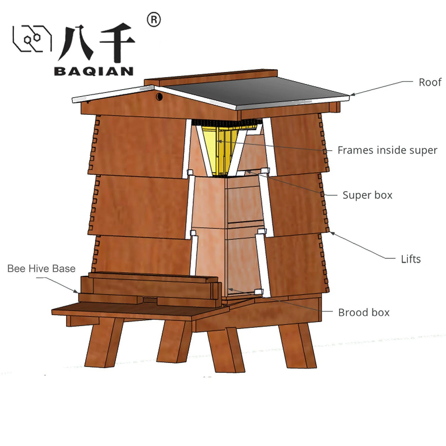 Beekeeping Equipment - 10 Frames Red Cedar WBC Hive