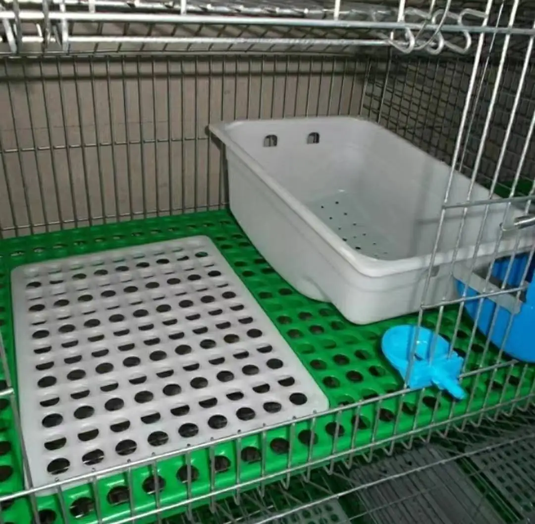 Rabbit Farm Galvanized Wire Mesh Cages - Durable & Affordable
