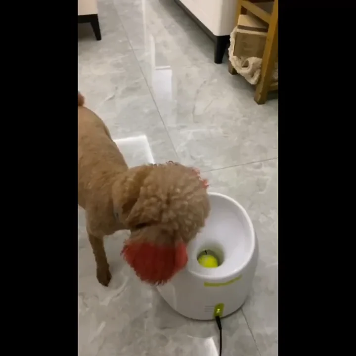 Adjustable Distance Usb Rechargeable Automatic Dog Ball Launcher Tennis ...