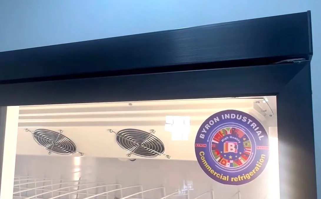 Upright Vertical Fridge For Supermarket Top-freezer Refrigerators ...