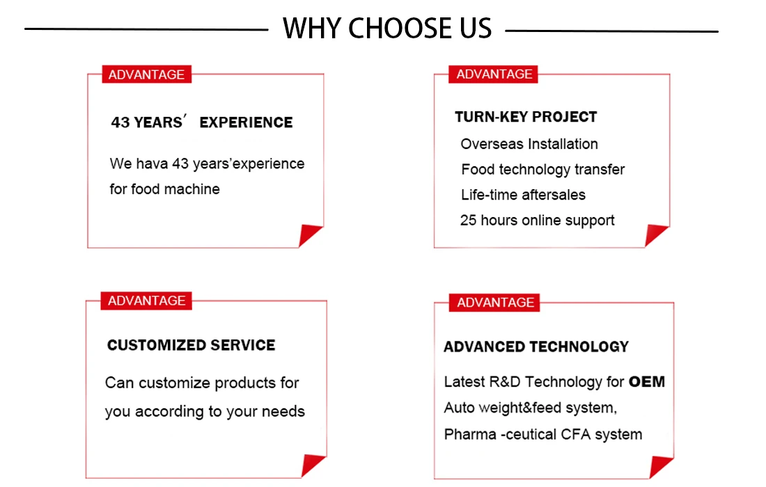 FUDE Servo Drive Spherification Machine - High Productivity