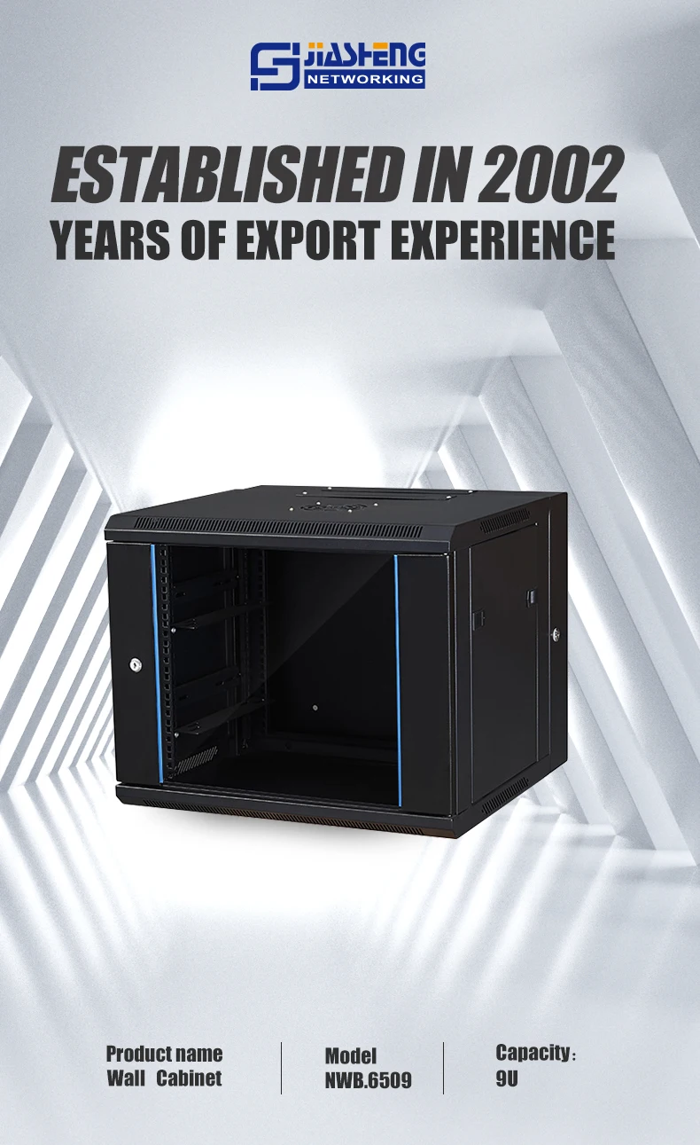 Customized Rack Mount Wall Cabinet - 9U Mini Network Cabinet