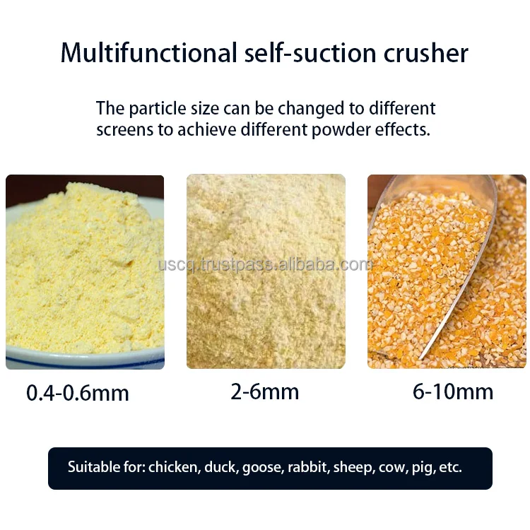 20hp Maize Mills Diesel Engine - Efficient Flour Production