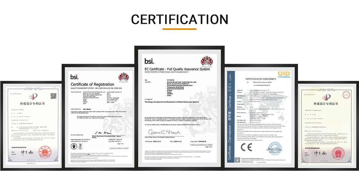 Portable ENT Surgery Laser Instrument - 810nm/980nm