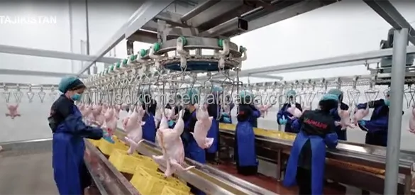 Chicken Butcher Slaughter Machine Poultry Slaughterhouse Food ...