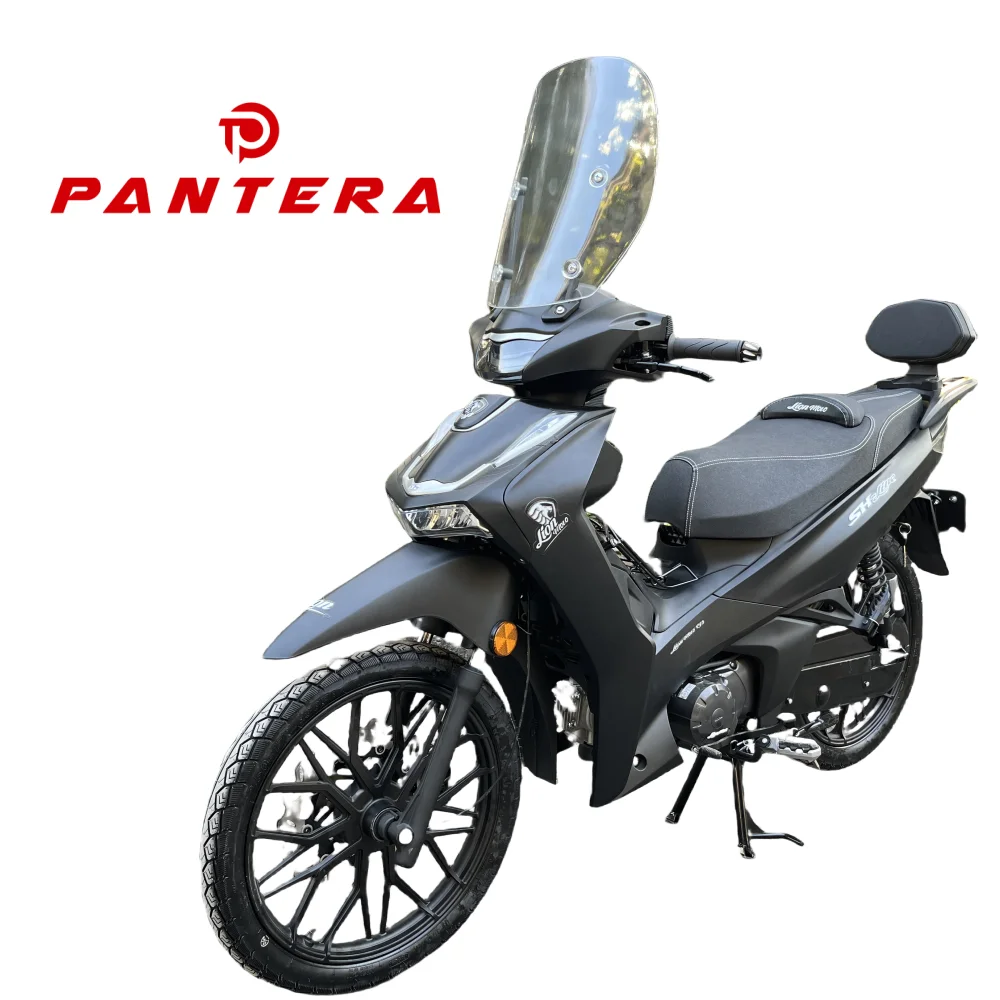 2025 China 110cc 125cc Mini Motorcycle for Africa - Fast & Reliable