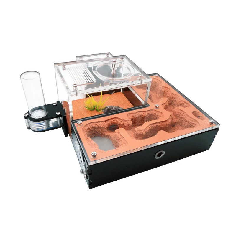 Ant Queen Breeding Area Anthill Castle Ant House Ant Farm With External ...