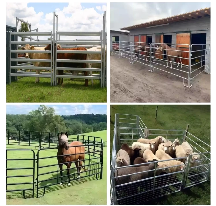 Portable Sheep Livestock Corral Panels Animal 6 bar 20 ft Continuous ...