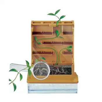 New 2023 Toys Botany Plant Growing Maze Kit Fun Home Lab Sprout ...