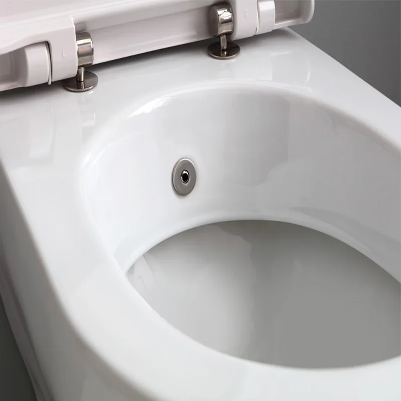 Dual Flush Toilet Ceramic One Piece Water Closet Pan Rimless Wc Vintage ...