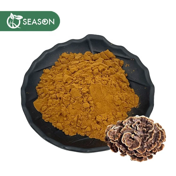 Coriolus Versicolor Extract Natural Turkey Tail Extract Make Turkey ...