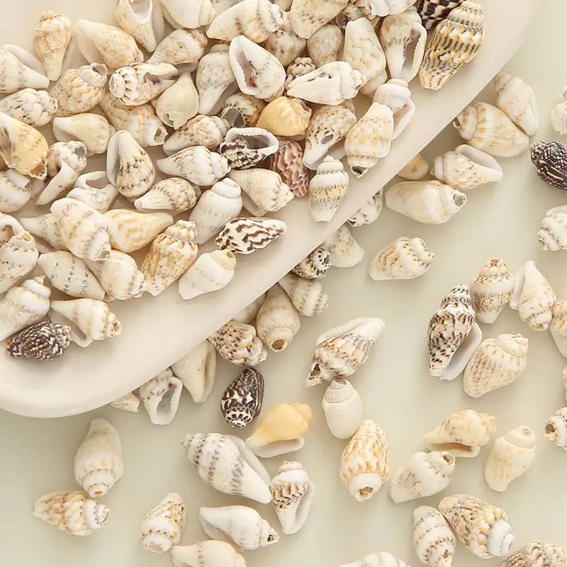Different Mother of Pearl Shell Bead Conch Seashell Cowrie for DIY Home ...