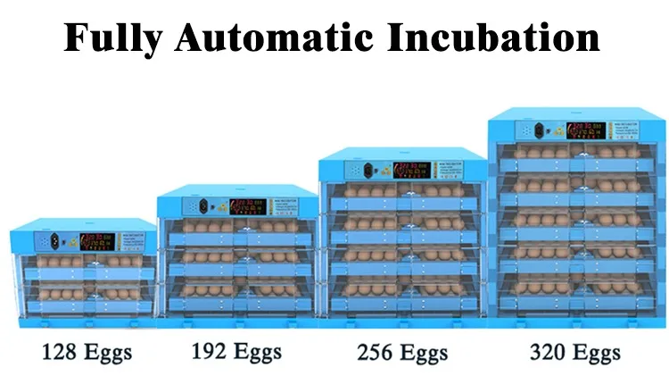 36 Capacity Automatic Egg Incubator For Quail Chicken Duck Goose Pigeon ...