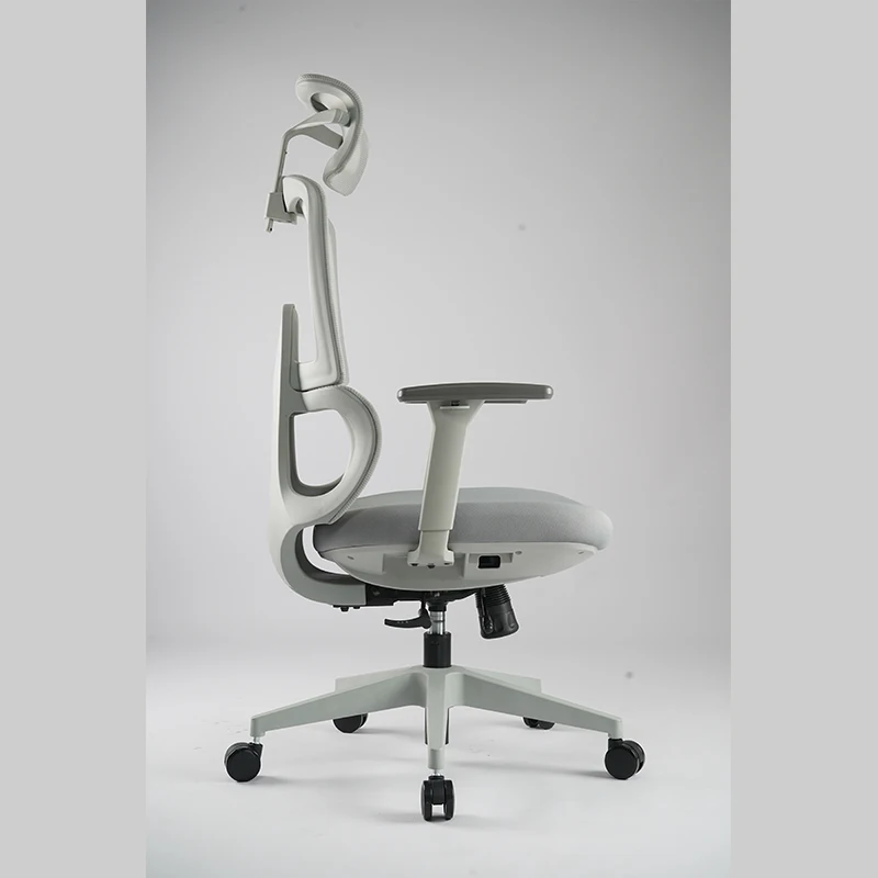 Segmented Low Back High Back Ergonomic Chair - Buy Ergonomic Executive ...