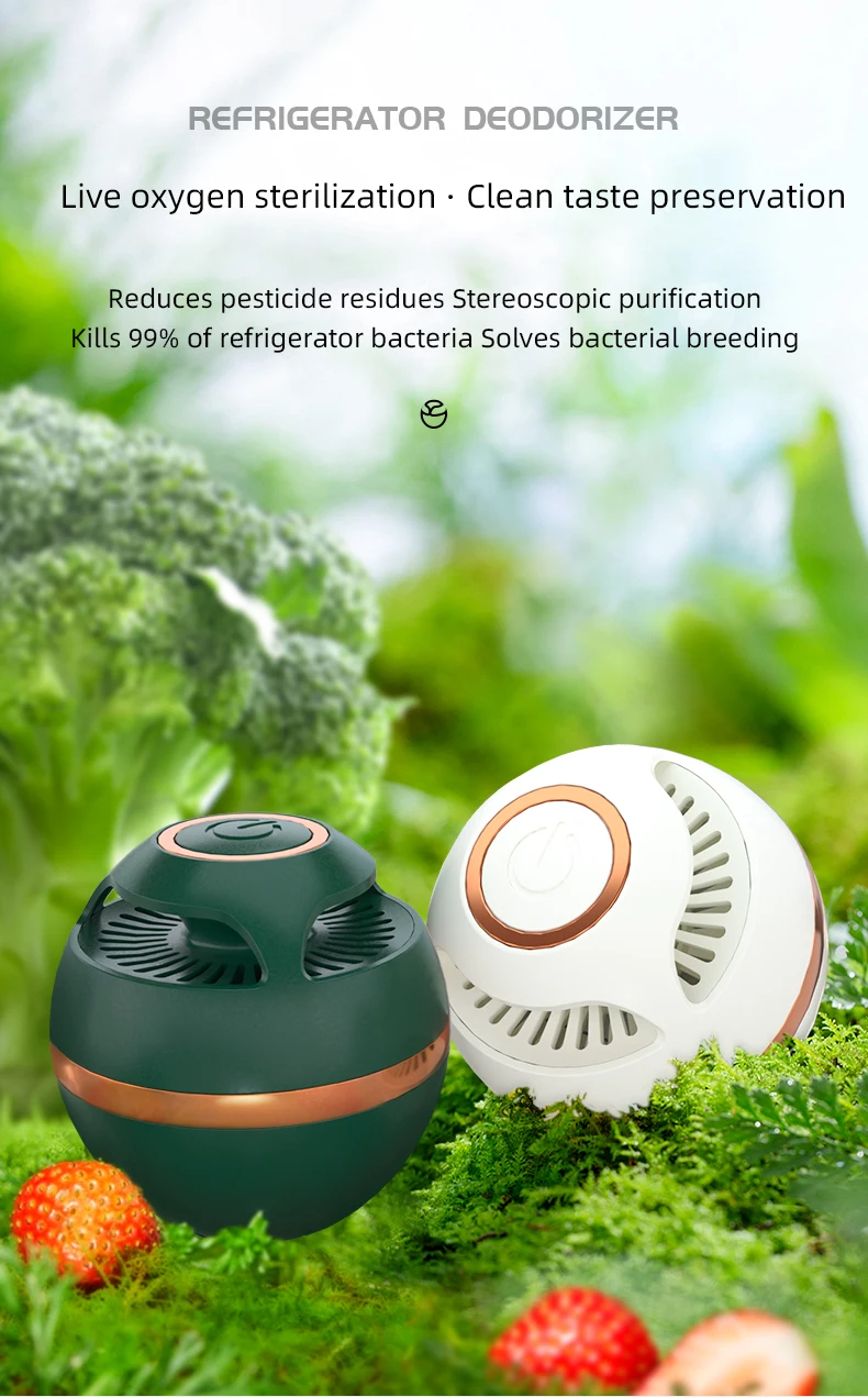 Refrigerator Deodorant Freezer Professional Grade Ozone Generator Air ...