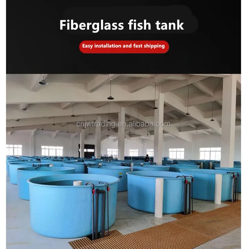 1000 Gallon Fish Tank - Perfect for Indoor Koi Breeding